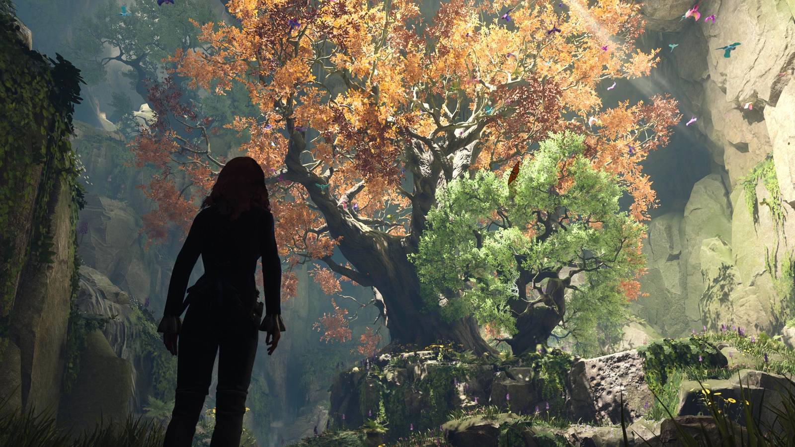 Hogwarts Legacy: The Centaur And The Stone Quest Walkthrough