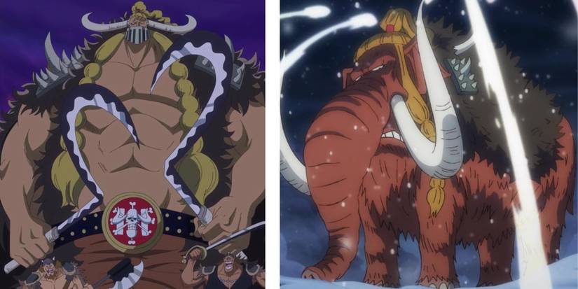 One Piece: 10 Best Kaidou Crew Members, Ranked