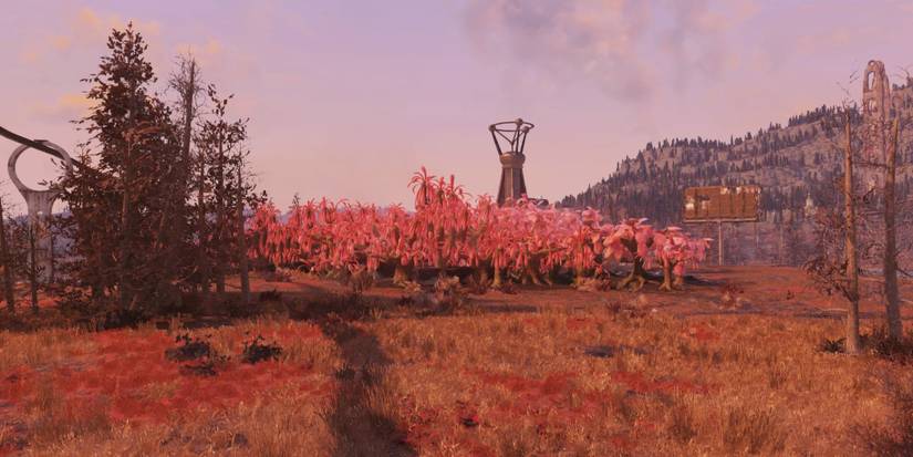 Fallout 76: How To Find The Sheepsquatch