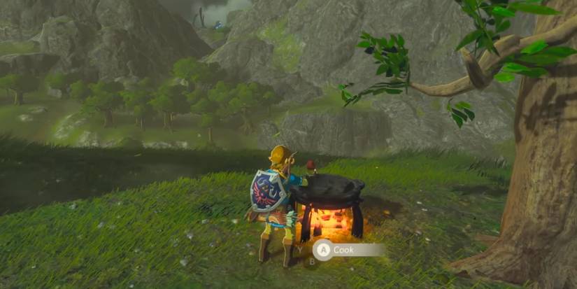 The Legend Of Zelda: Breath Of The Wild - 10 Master Mode Tips & Tricks