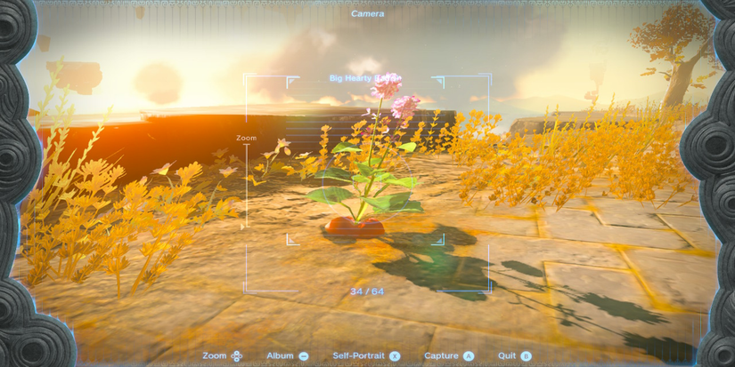 The Legend Of Zelda: Tears of the Kingdom - Where To Get Hearty Radish