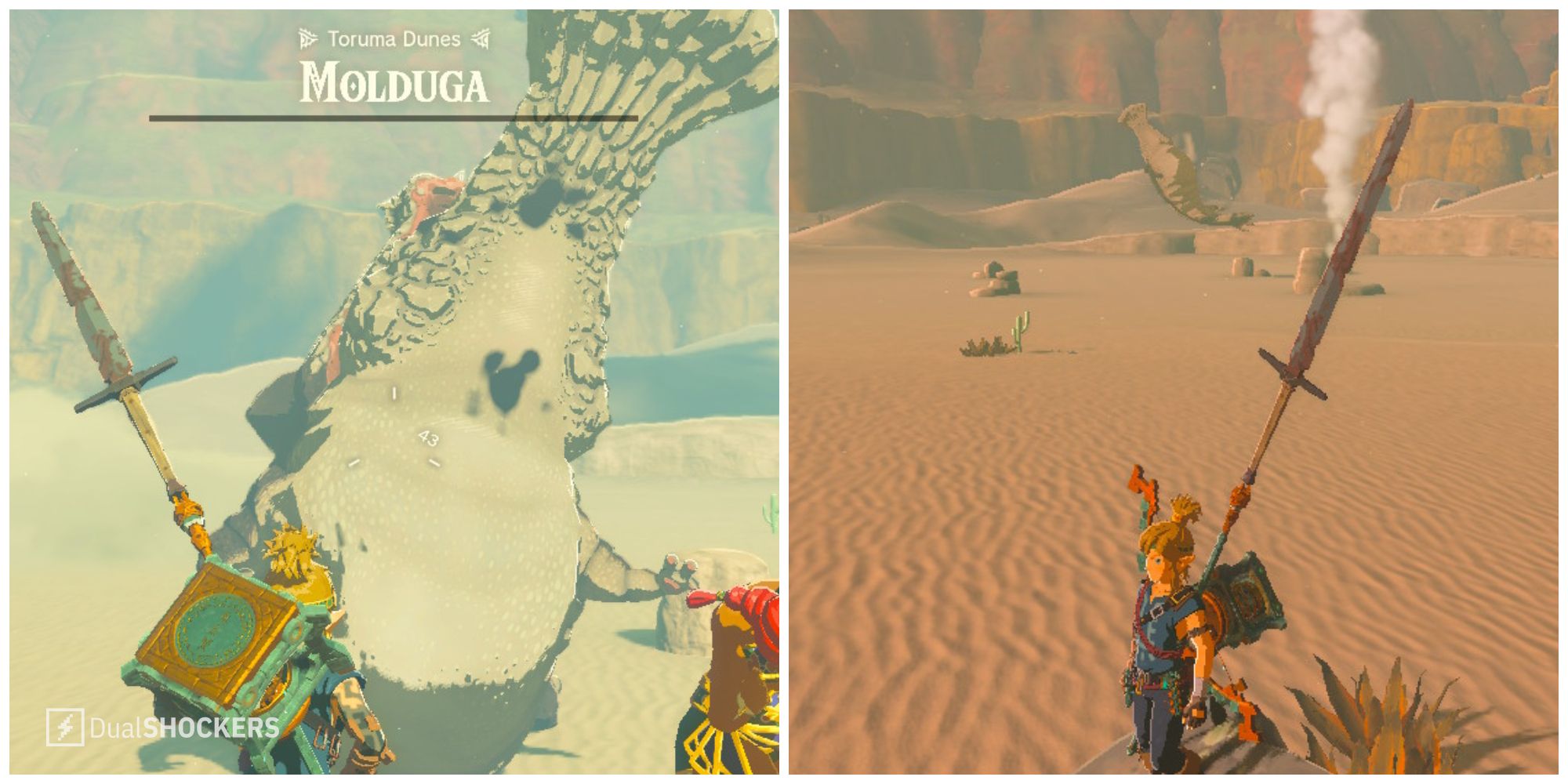 Tears Of The Kingdom - Molduga Boss Guide