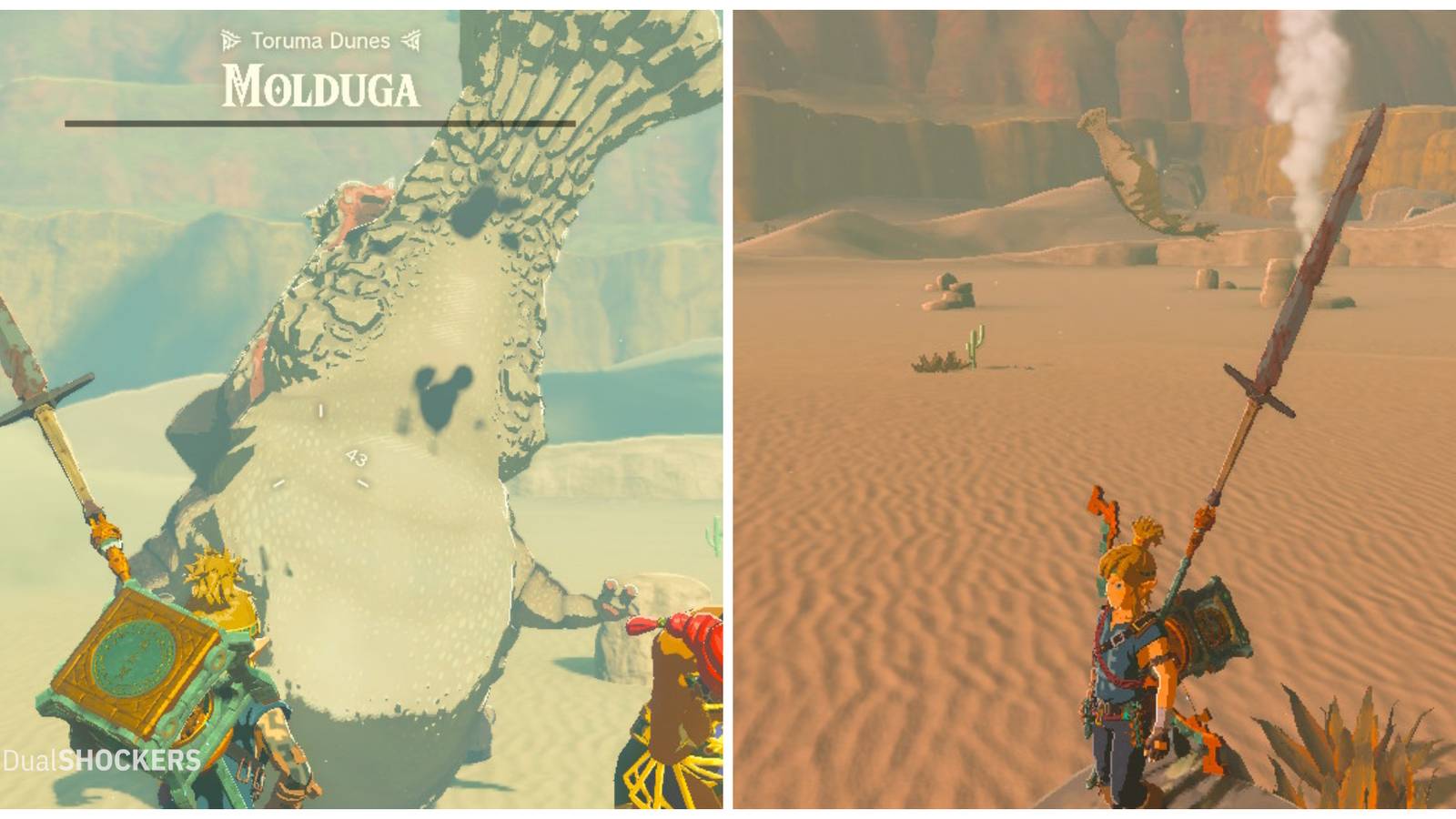 Tears Of The Kingdom - Molduga Boss Guide