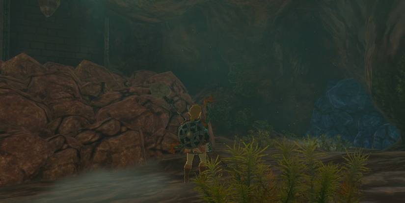 Tears Of The Kingdom: Royal Hidden Passage Guide