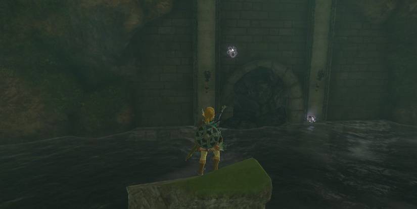 Tears Of The Kingdom: Royal Hidden Passage Guide