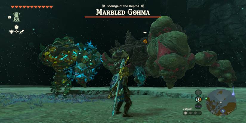 Tears Of The Kingdom - All Temple Boss Locations In The Depths