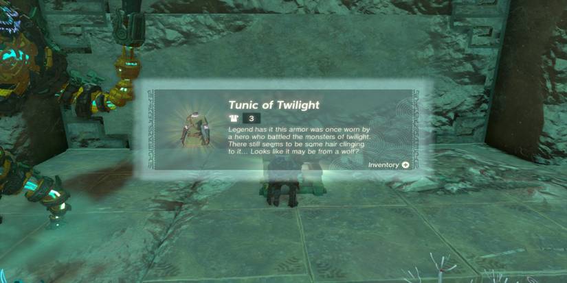 Tears Of The Kingdom - Armor Of Twilight Set Location