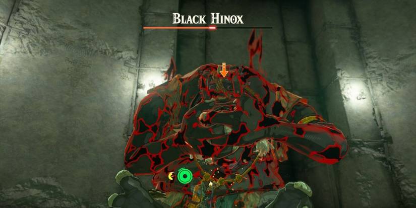 Tears Of The Kingdom: How To Get The Korok Mask