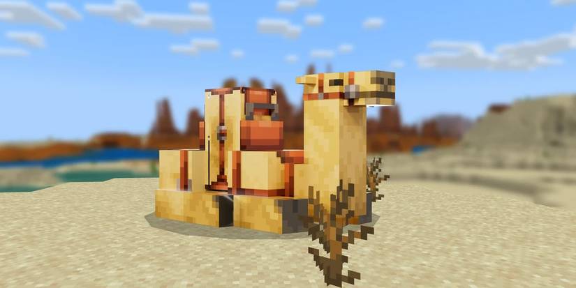 How To Raise And Use Camels In Minecraft
