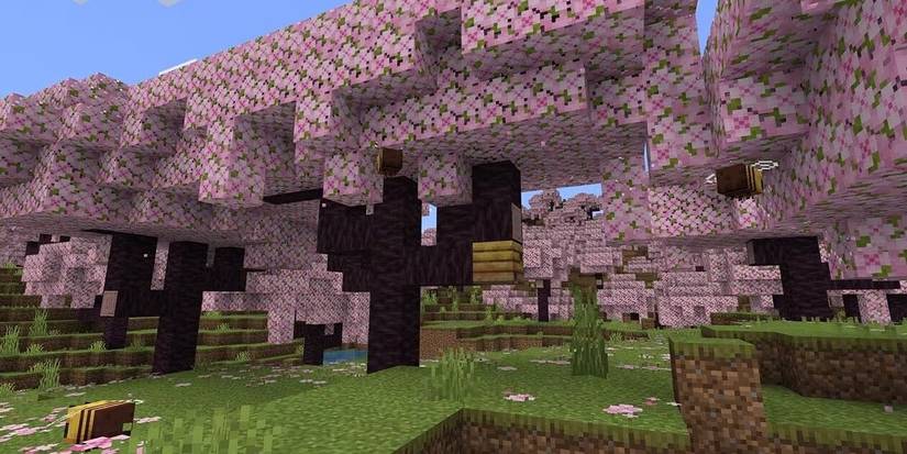 Minecraft: How To Use The Cherry Grove