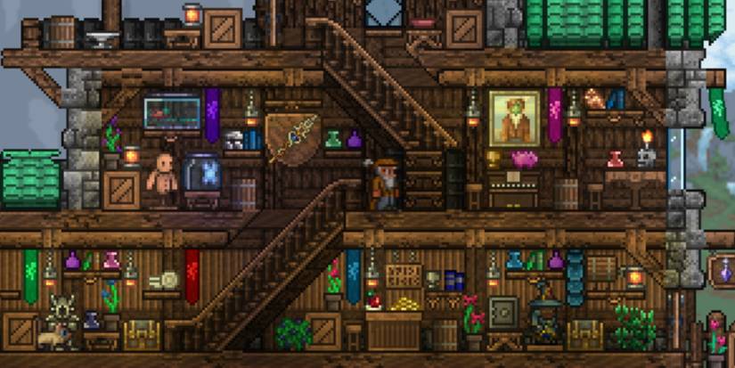 Ranking The Best NPCs in Terraria