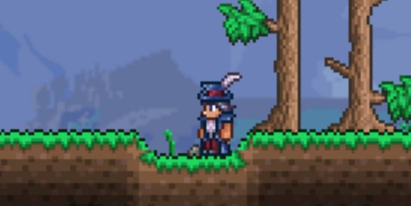 Ranking The Best NPCs in Terraria
