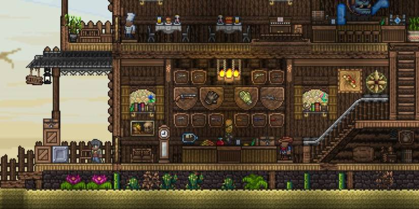 Ranking The Best NPCs in Terraria