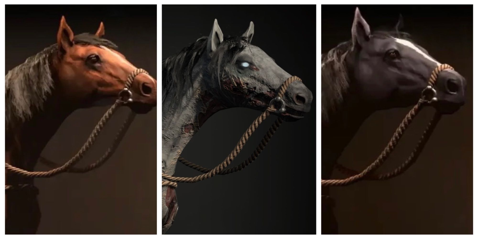 Diablo 4: How To Get All Mounts In The Game