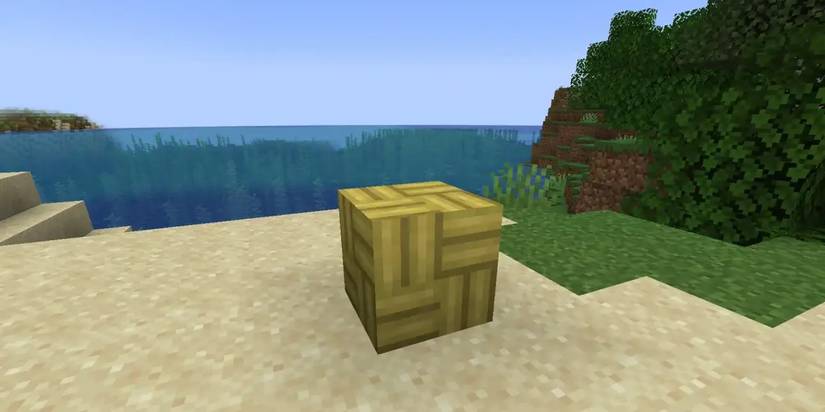 Minecraft: All New Trails & Tales Blocks And Where To Find Them