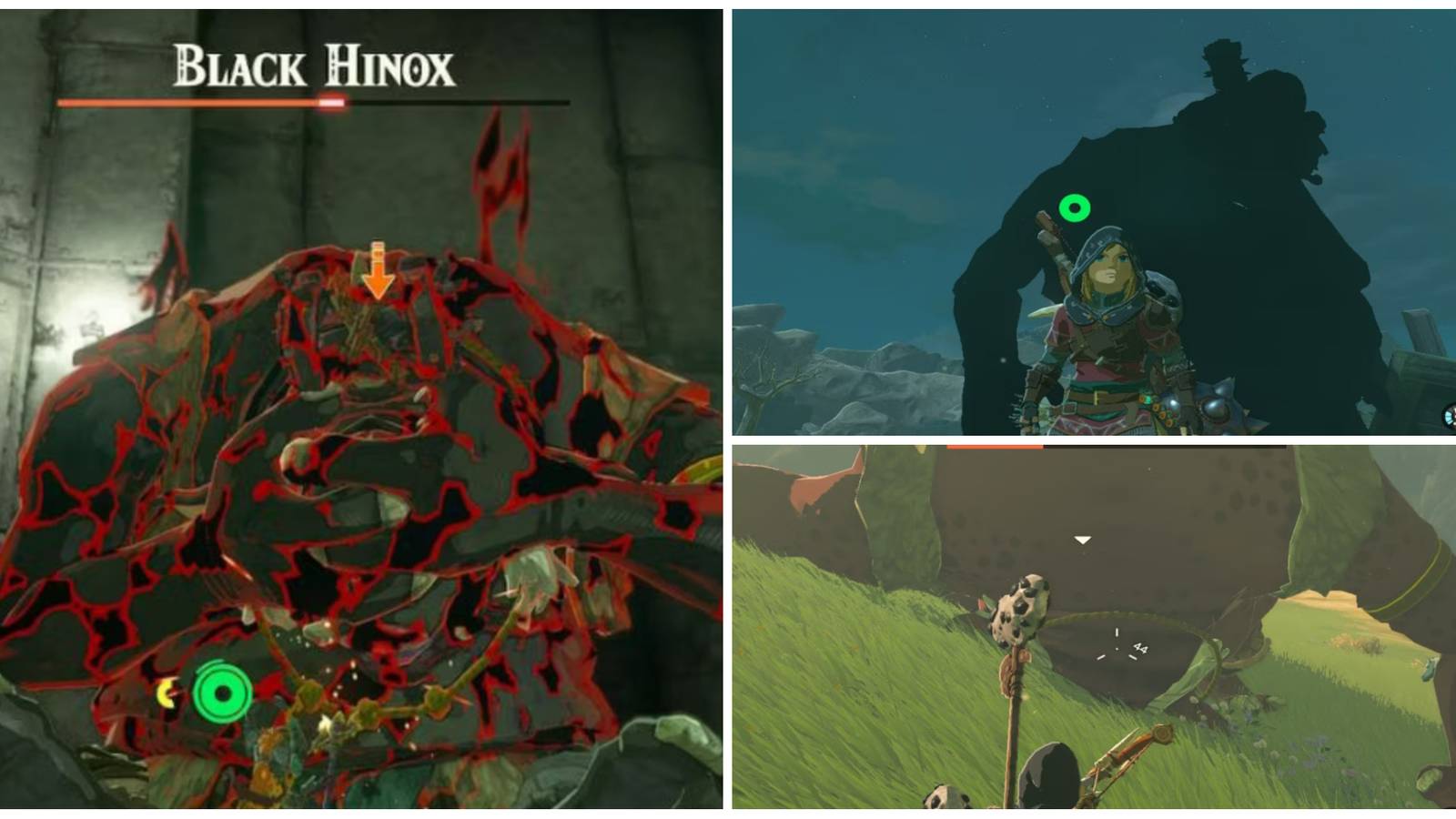 Tears Of The Kingdom: Hinox Locations Guide