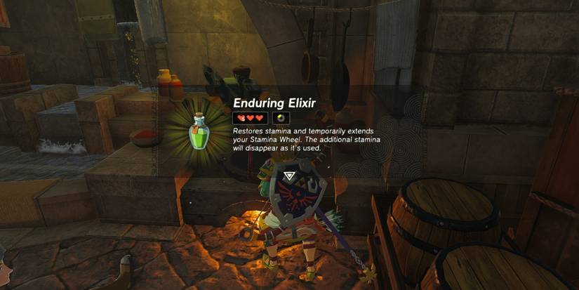 Tears Of The Kingdom: Best Stamina Food & Elixir Recipes