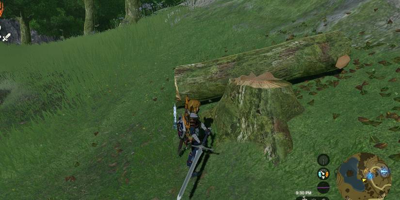 Tears Of The Kingdom: A Letter To Koyin Quest Walkthrough