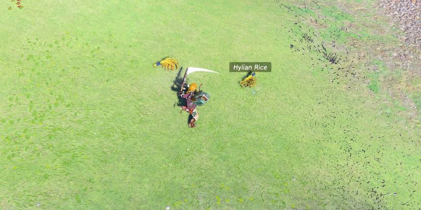 Tears Of The Kingdom: How To Get Hylian Rice