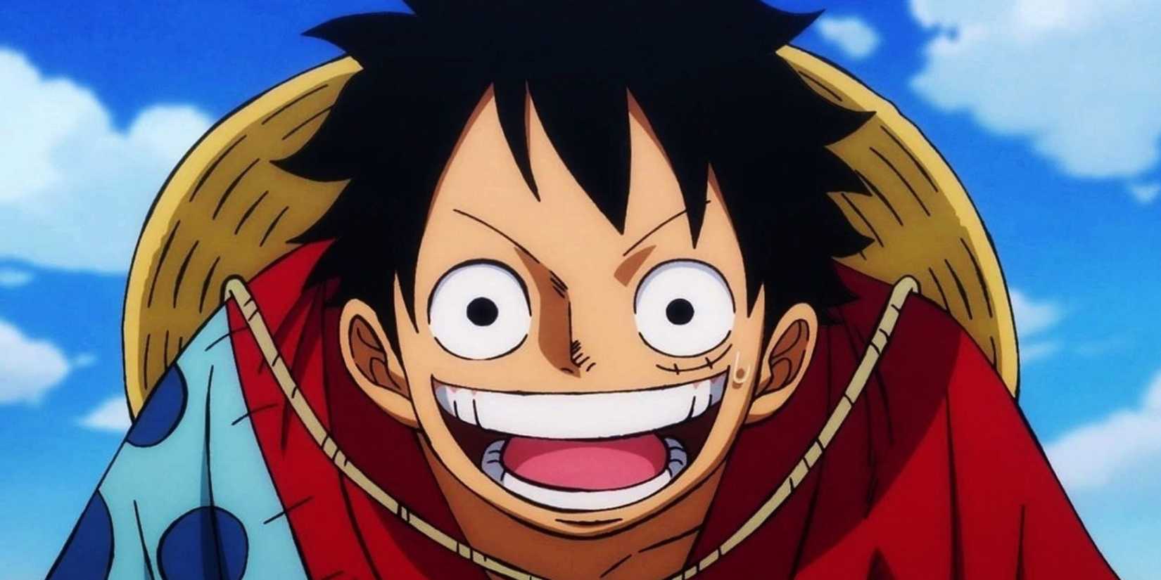 One Piece The Most Important Person for Each Straw Hat