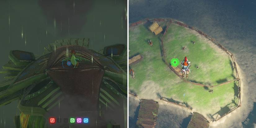 Tears Of The Kingdom - Feathered Fugitives Quest Guide