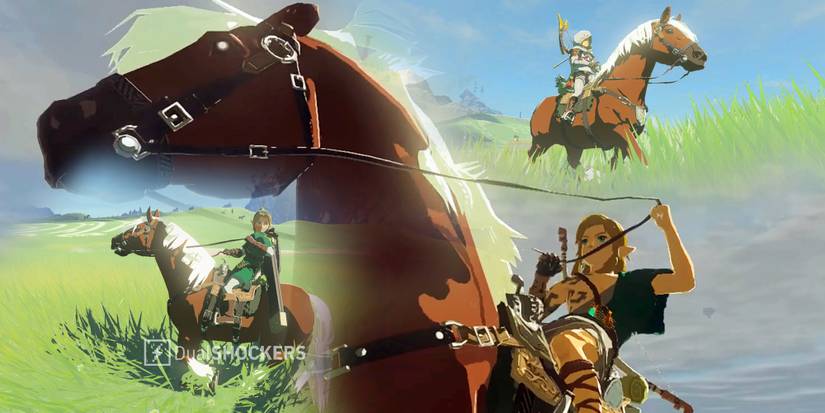 The Legend Of Zelda: 10 Best Companions In The Series