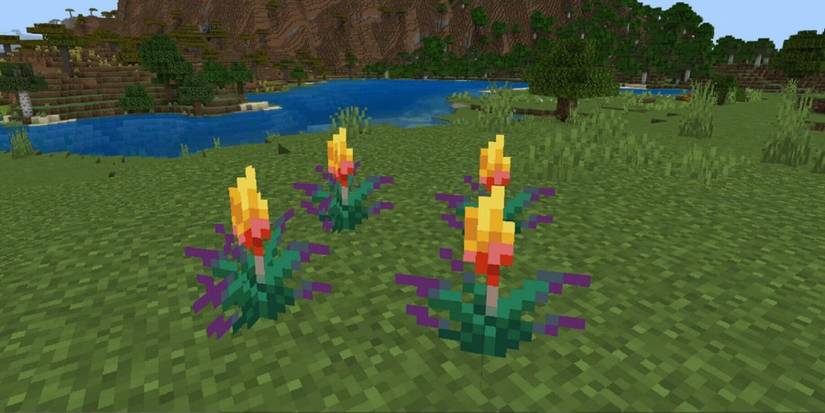 Minecraft: How To Grow & Use The Torchflower