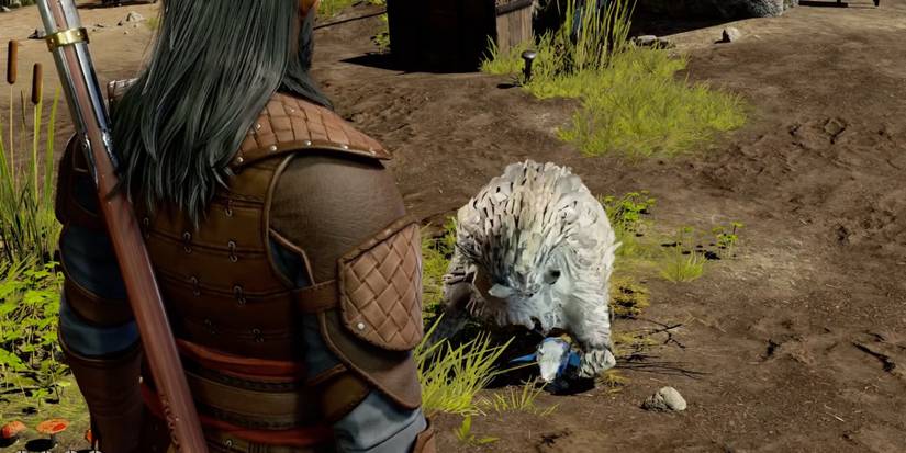 Baldur's Gate 3: Every Animal You Should Talk To In The Game