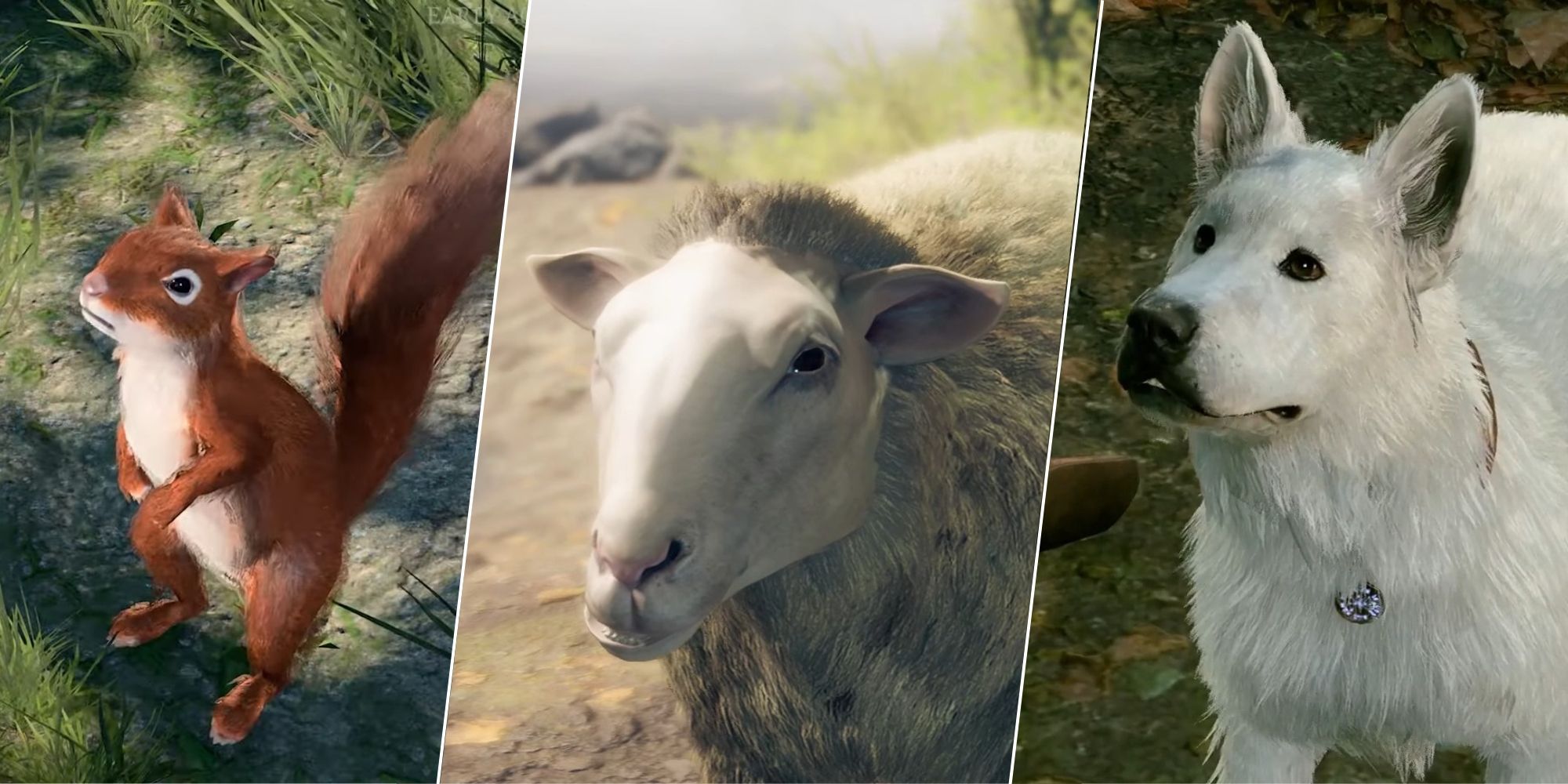 Baldur's Gate 3: How To Talk To Animals