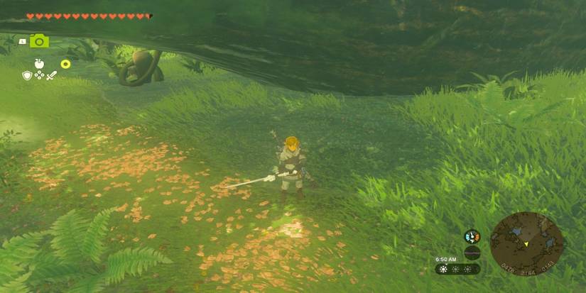 Tears Of The Kingdom - How To Get The Dusk Claymore