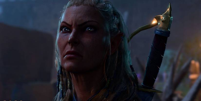 Baldur's Gate 3: Best Jaheira Companion Build