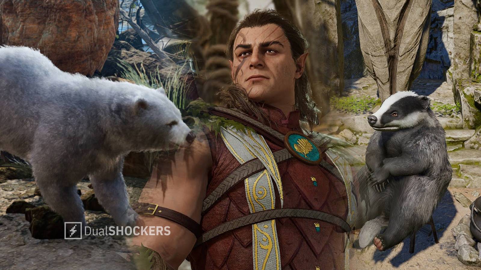 Baldur's Gate 3: Wild Shape Forms Explained