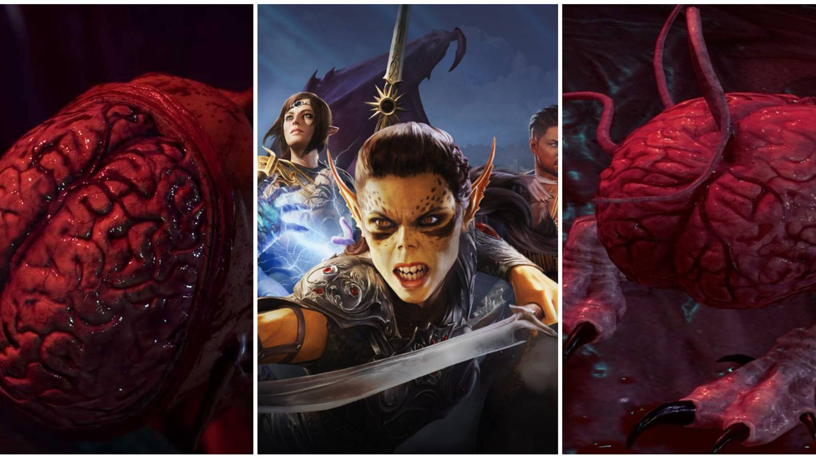 Baldur's Gate 3: The Brain Choice Guide