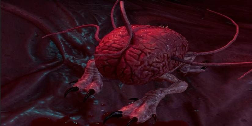 Baldur's Gate 3: The Brain Choice Guide