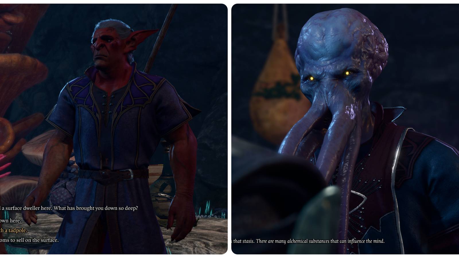 Baldur’s Gate 3: Help Omeluum Investigate The Parasite Walkthrough