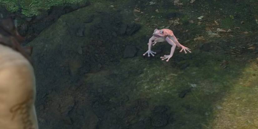 Baldur's Gate 3: How To Use The Addled Frog