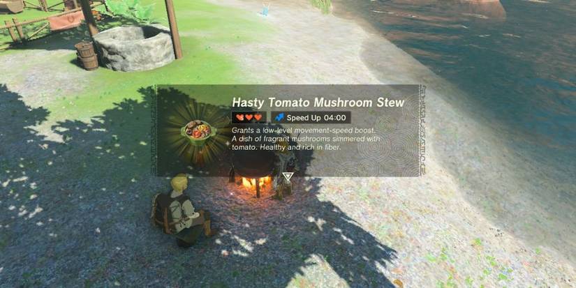 Tears Of The Kingdom - 10 Best Recipes, Ranked