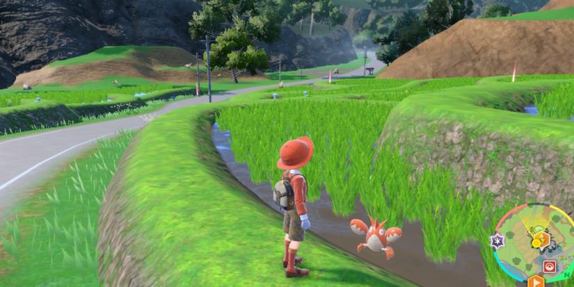 corphish evolution violet