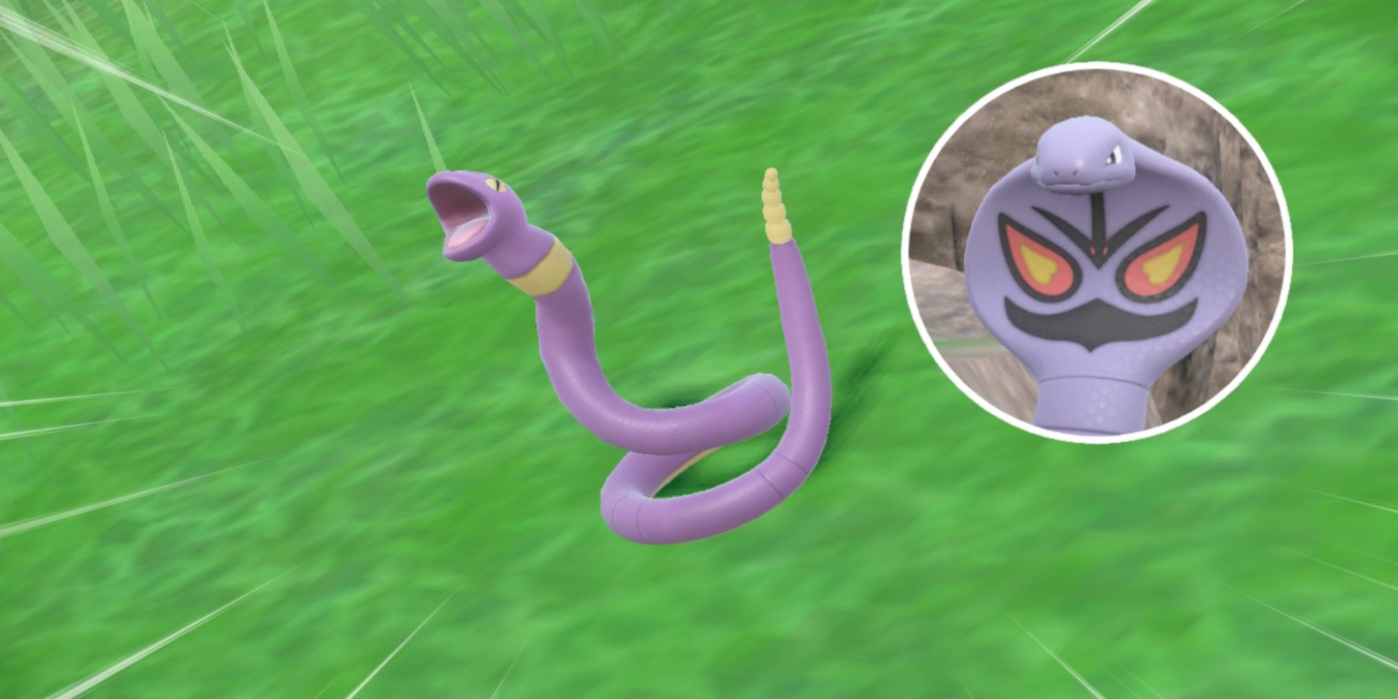 Every Snake Pokemon, Ranked