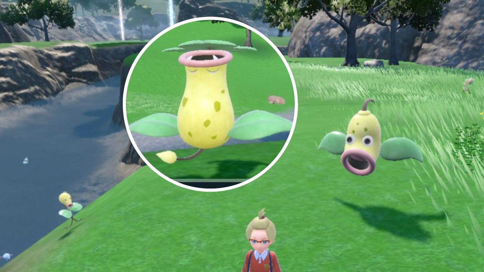 Pokemon Scarlet & Violet: How To Get & Evolve Bellsprout & Weepinbell