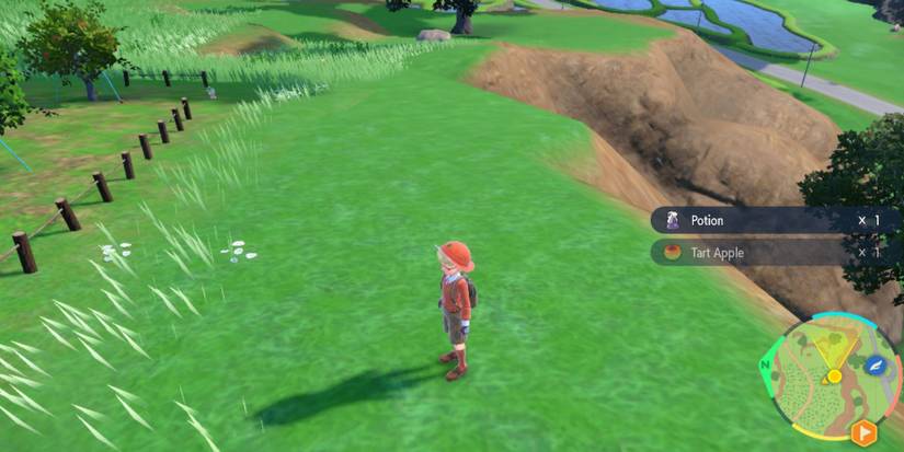 Pokemon Scarlet & Violet DLC: How To Get & Evolve Applin