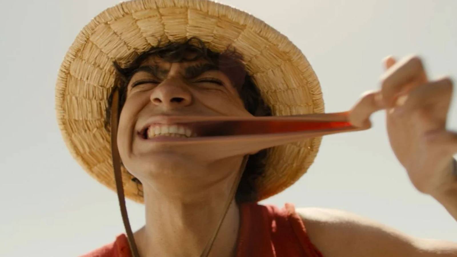 One Piece: How Did Luffy Get The Scar On His Face?