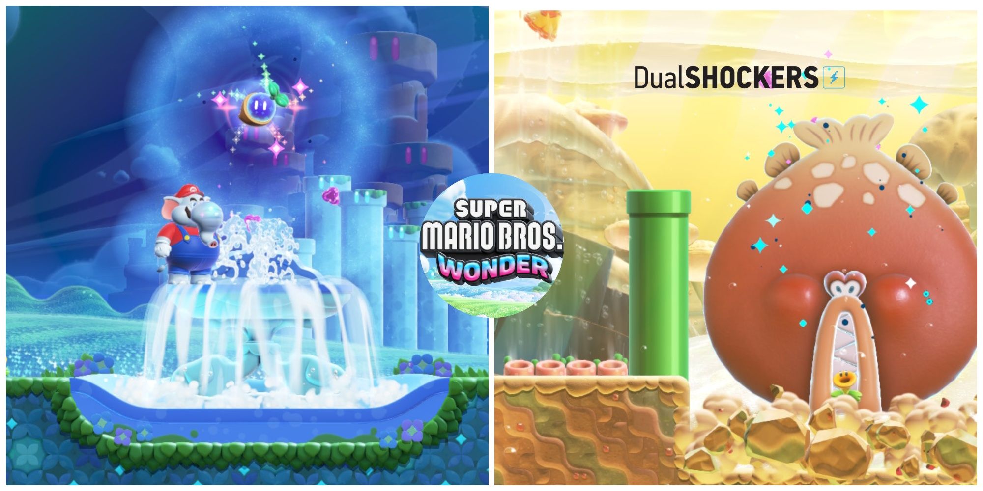 Super Mario Bros. Wonder: Wonder Flower Effect, Explained