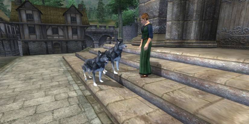 The Adventures Of A Humble Nobody In The Elder Scrolls IV: Oblivion