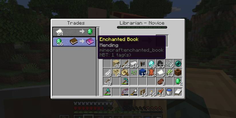 Minecraft: 10 Best Armor Enchantments