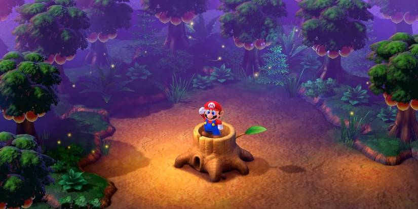 Super Mario RPG: Forest Maze Walkthrough