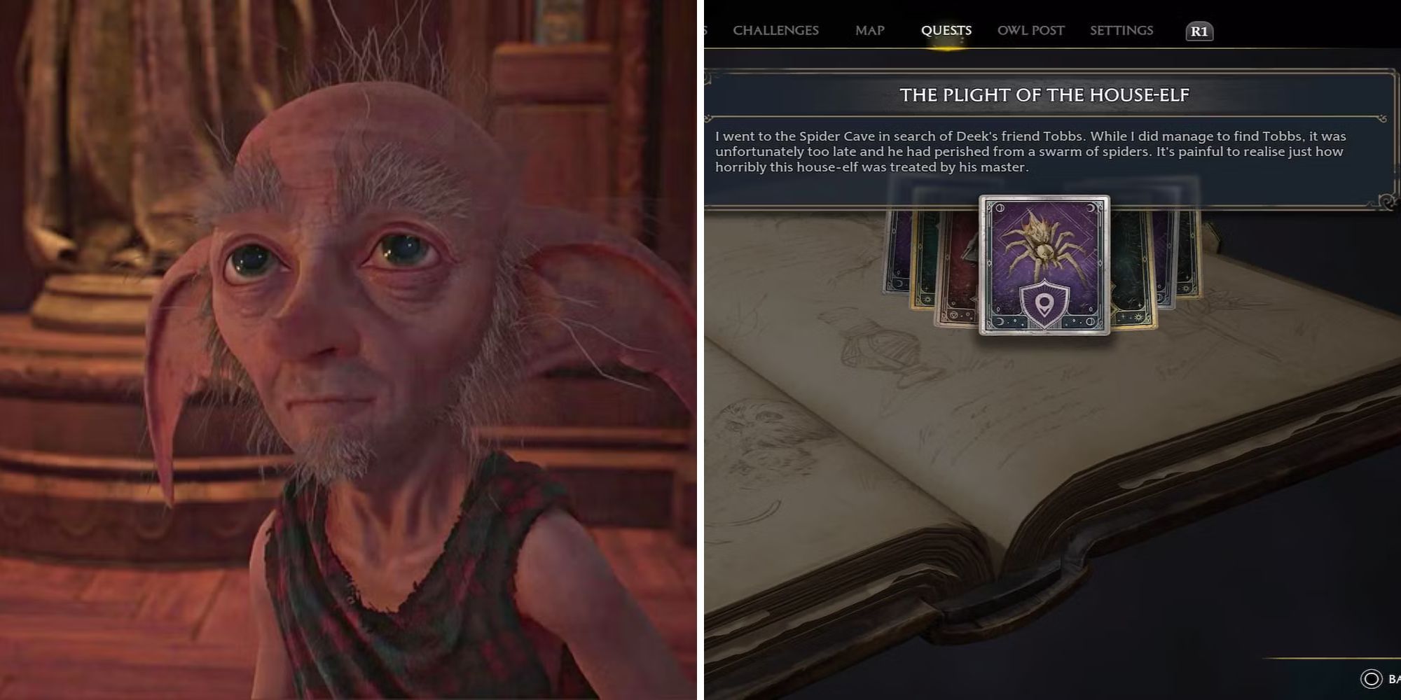 Hogwarts Legacy: The Plight Of The House-Elf Quest Walkthrough