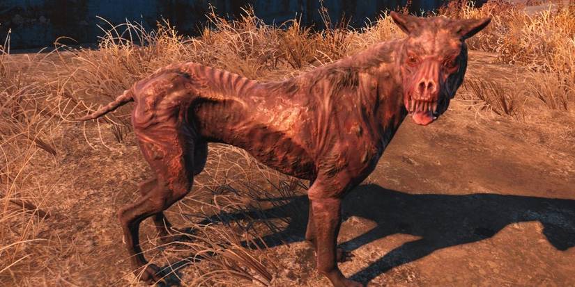 Fallout 4: 10 Best Random Encounters, Ranked