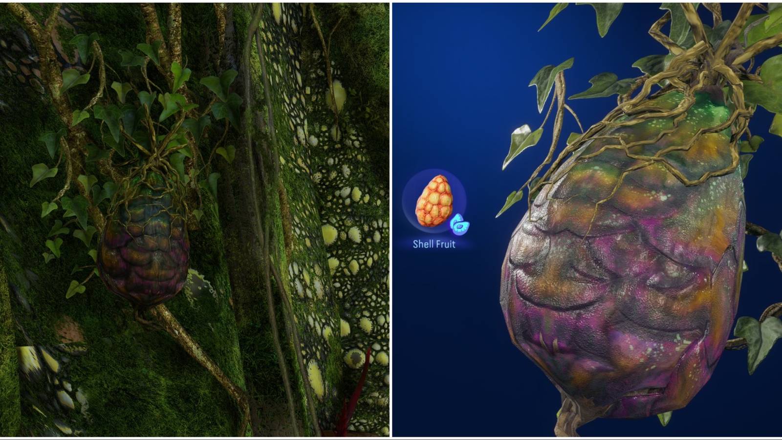 Avatar: Frontiers Of Pandora - How To Find Shell Fruit