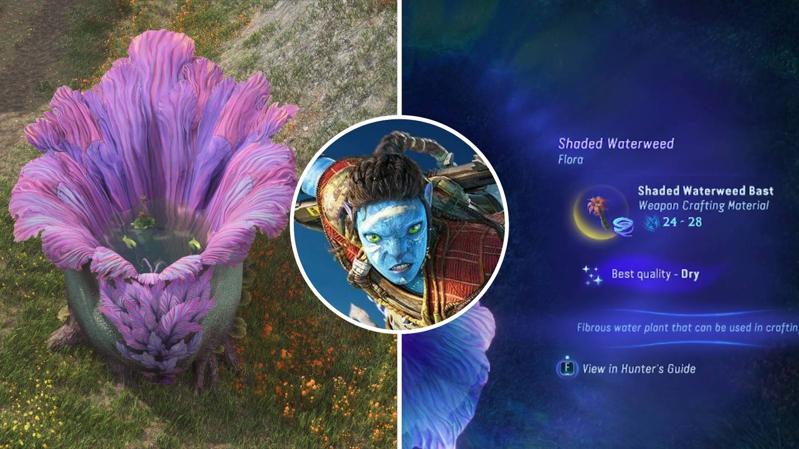 Avatar: Frontiers Of Pandora - Where To Find Tranquility Bulb